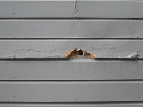 How to Fix Rotted Wood Siding | Tips to Save Time & Money